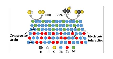 Coreshell Cupdnipd Nanoparticles Coupling Lateral Strain With Electronic Interaction Toward