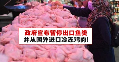 政府宣布暂停出口鱼类并从国外进口冷冻鸡肉