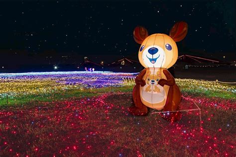 【新北】本週開幕！夏日必拍「新北河濱蝶戀季」來了，超美光雕燈展閃耀夜晚，免費約會期間限定超必來！ 好想去喔