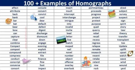 100 Examples Of Homographs Interactive Worksheet Edform