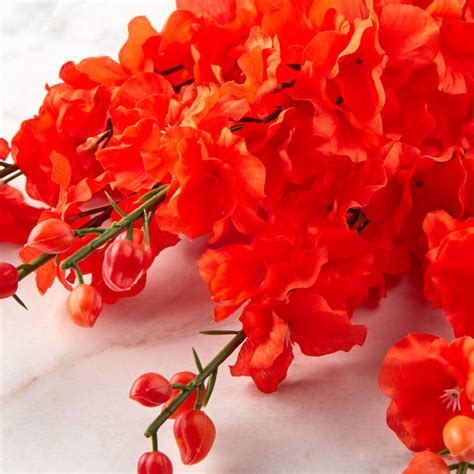 Orange Delphinium Bush With Buds Spring Flowers Floral Supplies