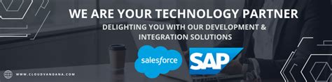 Difference Between Setup And Non Setup Objects In Salesforce