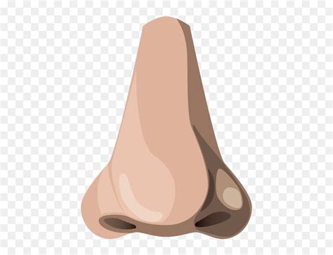 Gambar Hidung Kartun Hidung Kartun Pipi Gambar Png Alvise Palermo