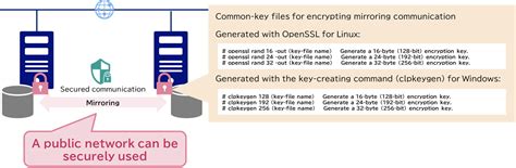ha cluster introduction features of a mirror disk type cluster