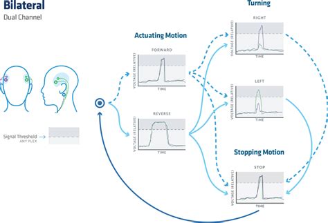 An Overview Of The Bilateral Input Mode For The Control System The Download Scientific Diagram