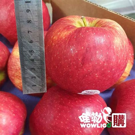 紐西蘭愛妃蘋果30粒原裝箱10kg 免運 哇勒購 新鮮水果海鮮購物網｜進口水果｜櫻桃｜明蝦｜香魚