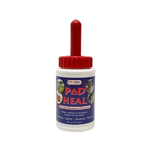 How Do Dogs Paw Pads Heal