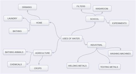 Water Consumption Mind Map Our Water Project