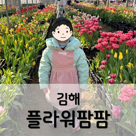 김해 플라워팜팜 튤립 농장 체험 김해 부산근교 아이와 가볼만한 곳 네이버 블로그