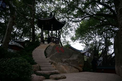 2023状元峰游玩攻略 状元峰周边古榕遮天现已不 去哪儿攻略