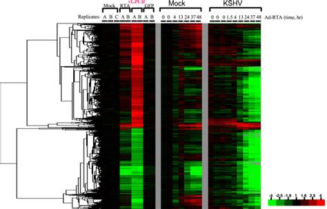 microarray data in figures 1 and 3 were linked clustered data are