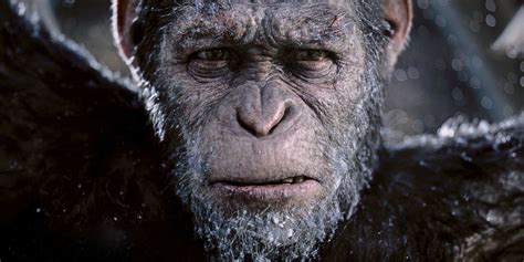 Final War For The Planet Of The Apes Trailer Screen Rant