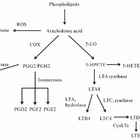 Typical 1 H Nmr Spectra For Urine From Controls Or Asd Patients