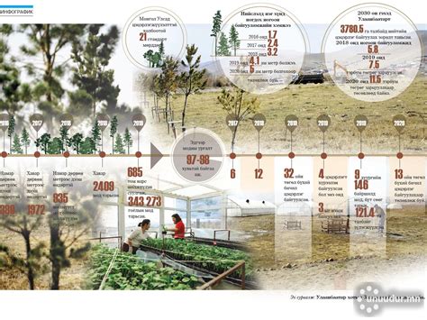 Төрийн бодлого дутсан ногоон байгууламж