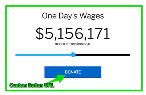 How To Display Progress Bar With Custom Donation Button End Point Url