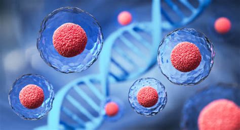 Especialista En Biología Molecular Y Citogenética Imasd Capacitación