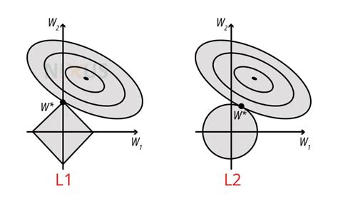 Regularization In Machine Learning Nixus