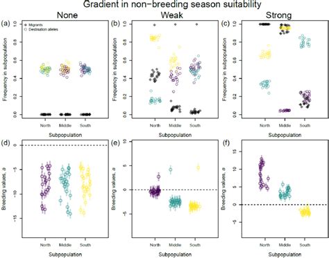 Metapopulation Genetic Structure After 10 000 Years Of Evolution Where