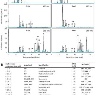 A Typical HPLC Diode Array Detector DAD Chromatogram Shown At 280 Download Scientific