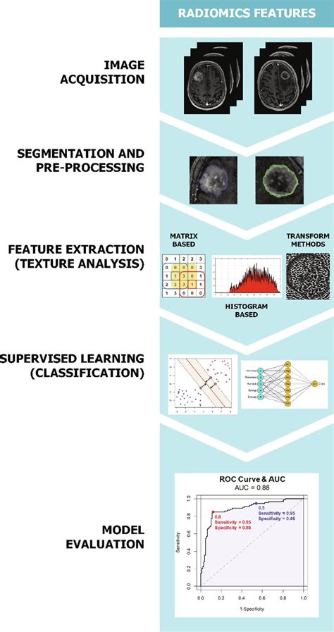 Glioblastomas And Brain Metastases Differentiation Following An Mri Texture Analysis Based