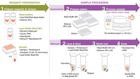 Neb Monarch® Mag Viral Dna Rna Extraction Kit T4010 Kinovett Scientific