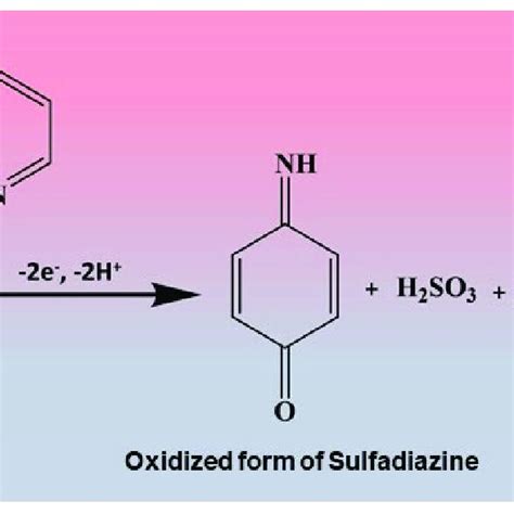 Shen Ming Chen Lifetime Distinguished Professor Phd National Taipei University Of