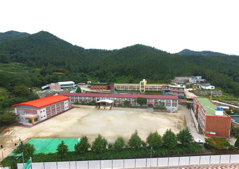 개교 50년 만에 첫 서울대 합격 여수 시골학교 경사
