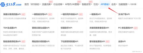怎么使用5118站长工具api接口处理采集数据 5118接口 csdn博客