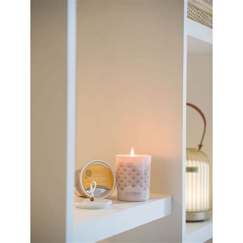 Bougie décorative parfumée rechargeable 180g Iris Cachemire Esteban