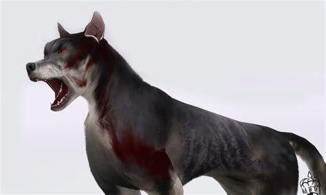 Hellhounds Nazi Zombies