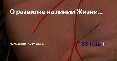 О развилке на линии Жизни Хиромантия заметки🔍🖐🏻 Дзен