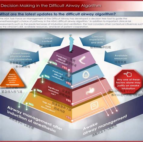 读图 临床环境、医生的技能、可用资源和病人的合作程度应该在困难气道处理中得到重视 The Making 气道