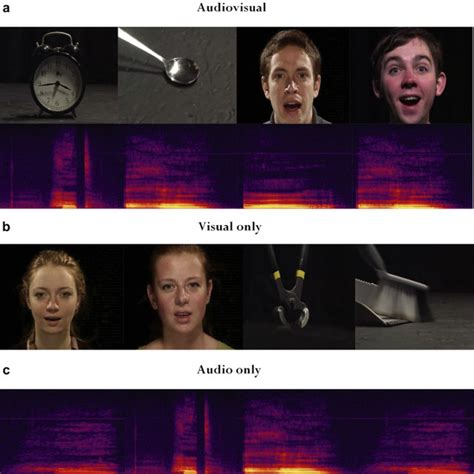 Examples Of A Audiovisual B Visual And C Auditory Stimuli Download Scientific Diagram