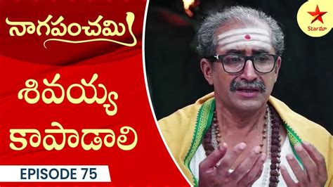 Naga Panchami Episode 75 Highlight 3 Telugu Serial StarMaa