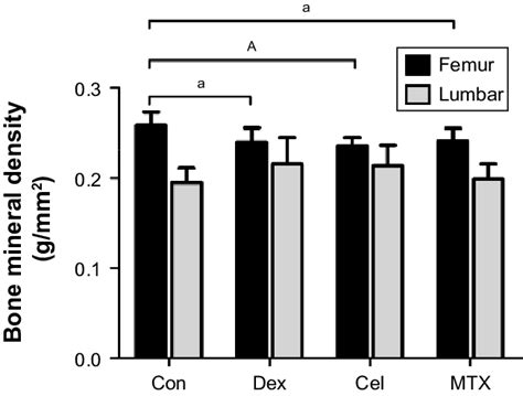 Effects Of Three Antiarthritics On Bmd Of The Femur And The Fifth Download Scientific Diagram