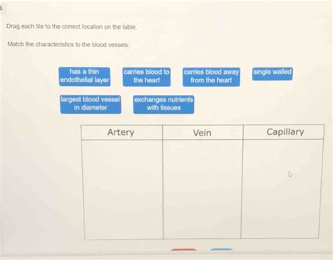 Solved Drag Each Tile To The Correct Location On The Table Match The