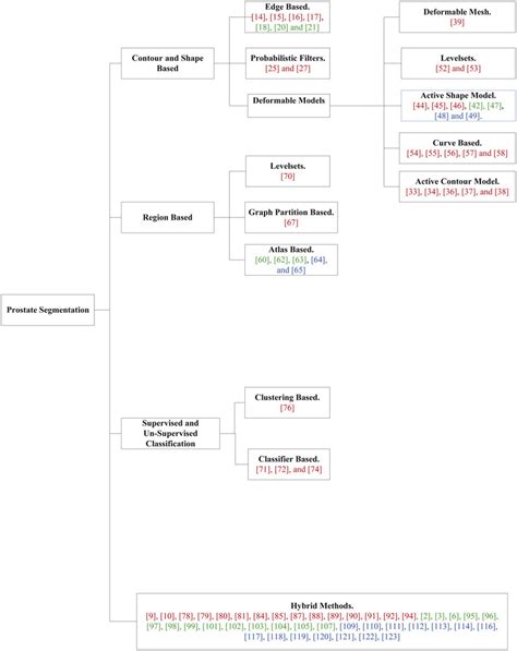 Our Proposed Taxonomy Of Prostate Segmentation Trus References In Red