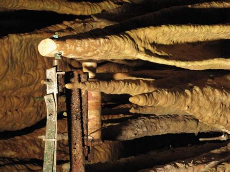 Great Stalacpipe Organ Usa Sound Tourism