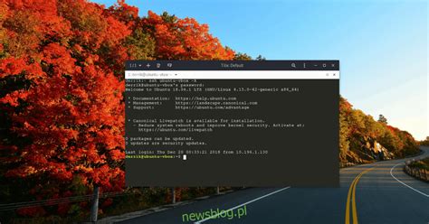 Jak skonfigurować przekazywanie X w systemie Linux