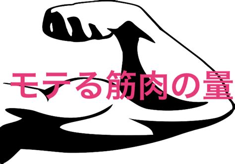 女性がよく言う「仕事やスポーツでついた程よい筋肉がモテる」のは嘘なので無視してokです Sei書