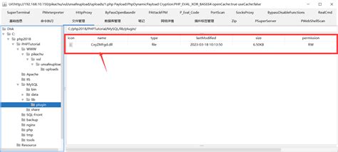 Windows Mysql Adm N
