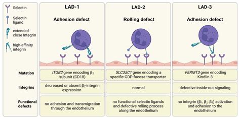 Integrins In Health And Disease—suitable Targets For Treatment