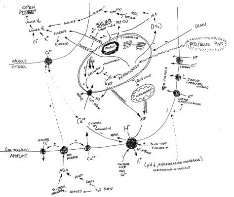 New Page 1 Employees Csbsju Edu