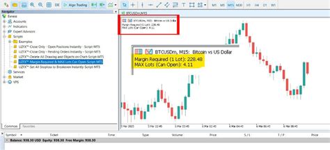 Margin Required And Max Lot Size Can Open Free Download Trading Library For Metatrader 5