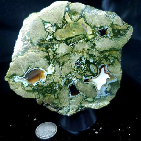 Thunder Egg Specimen L Dan Hurd Prospecting