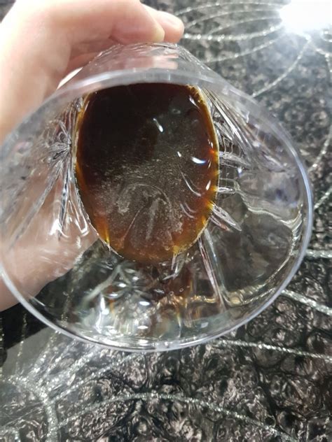 차가버섯효능 차가버섯추출분말 음용법 알고먹어요 네이버 블로그