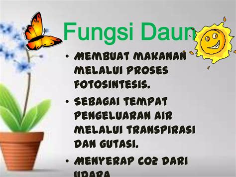 Struktur Jaringan Dan Fungsi Daun Ppt