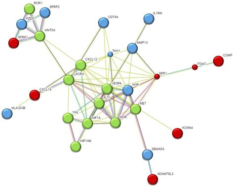 String Diagram Representing Protein Interaction Pathway Derived From 25