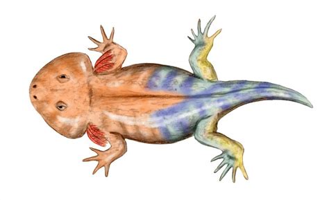 Karaurus Dinopedia Fandom