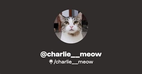 Charlie Meow Instagram Tiktok Linktree